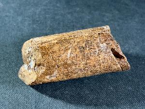 Home [www.london-fossils-crystals.co.uk]