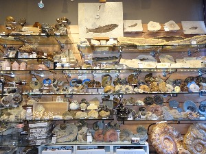 Home [www.london-fossils-crystals.co.uk]