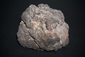 Dinosaur Coprolite (No.9)