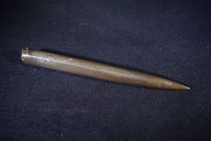 Belemnite from Northamptonshire, England (No.306)